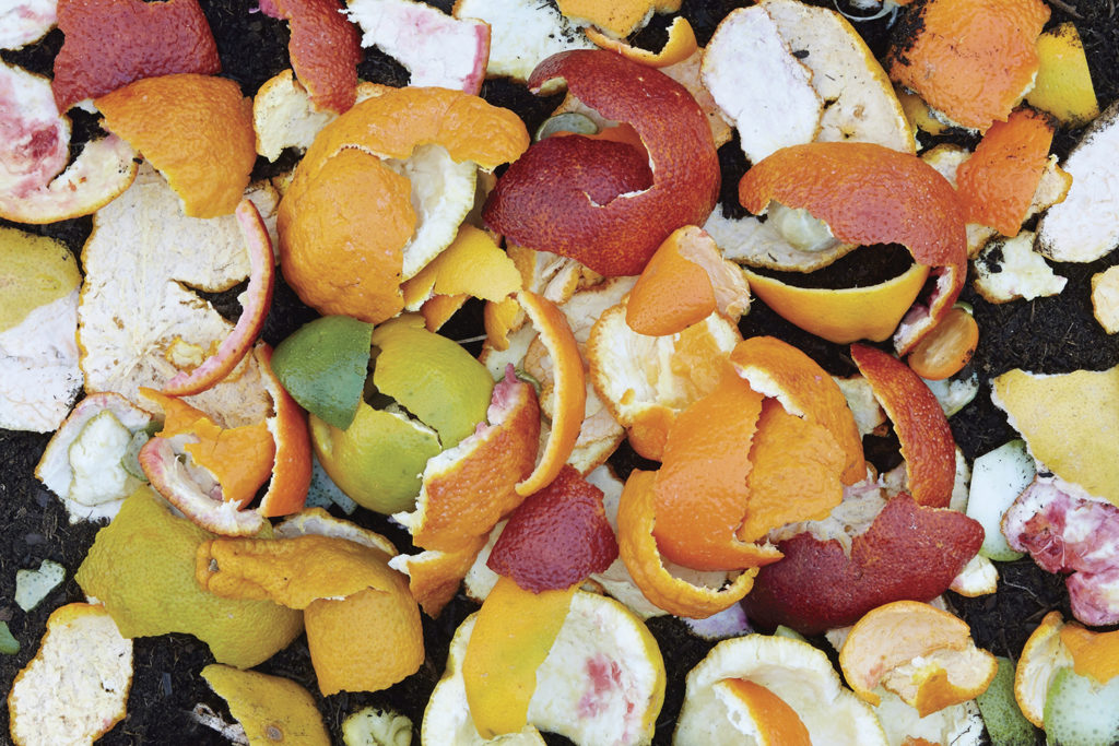 Dyeing with Citrus Peel : Foodwise