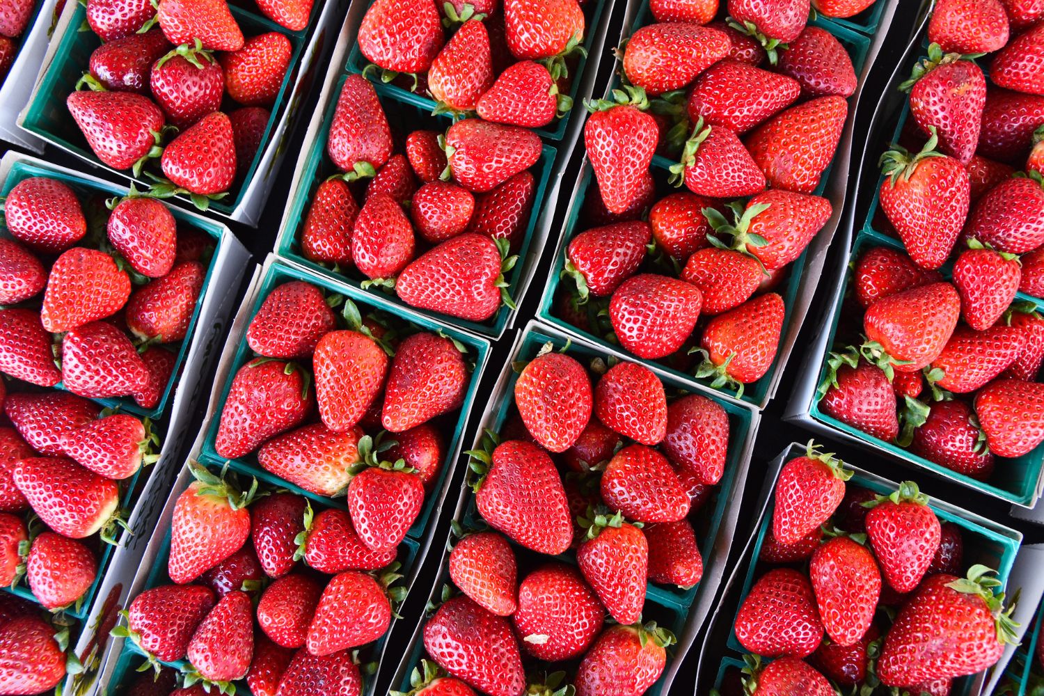 Berry Smart: A Farmers Market Guide to Berries : Foodwise