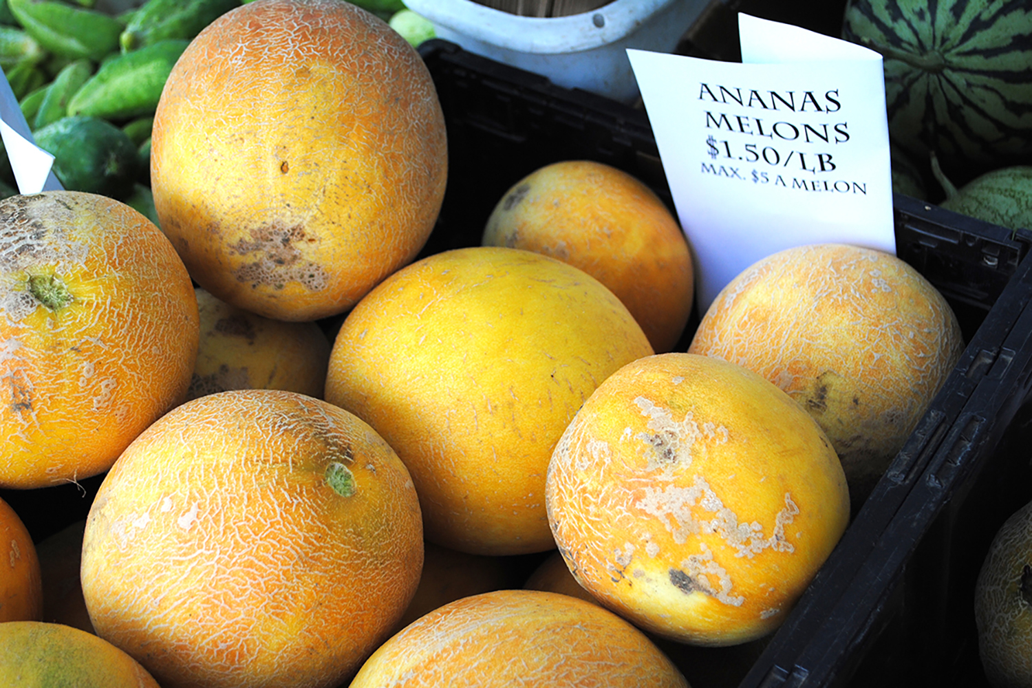 A Farmers Market Guide to Melons : Foodwise