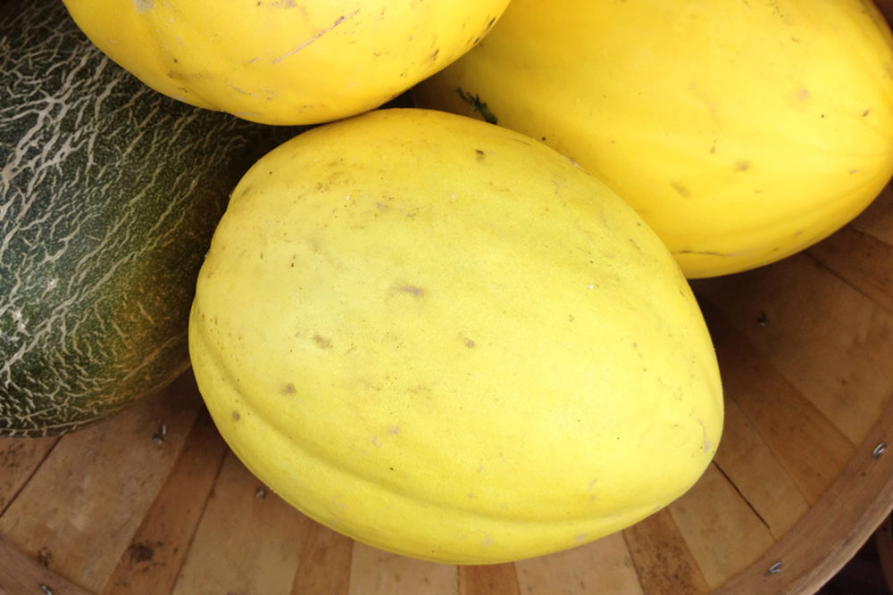 A Farmers Market Guide to Melons : Foodwise