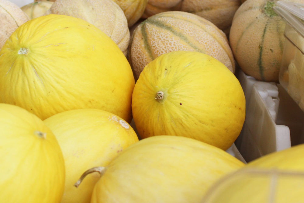 A Farmers Market Guide to Melons : Foodwise