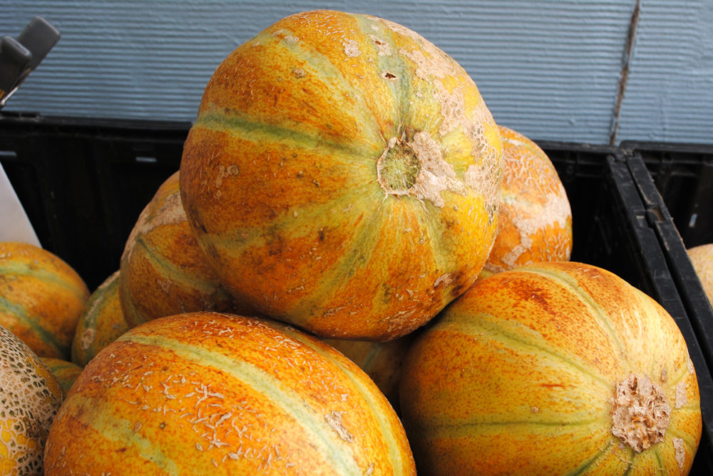 A Farmers Market Guide to Melons : Foodwise