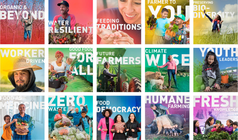 The Food Change : Foodwise