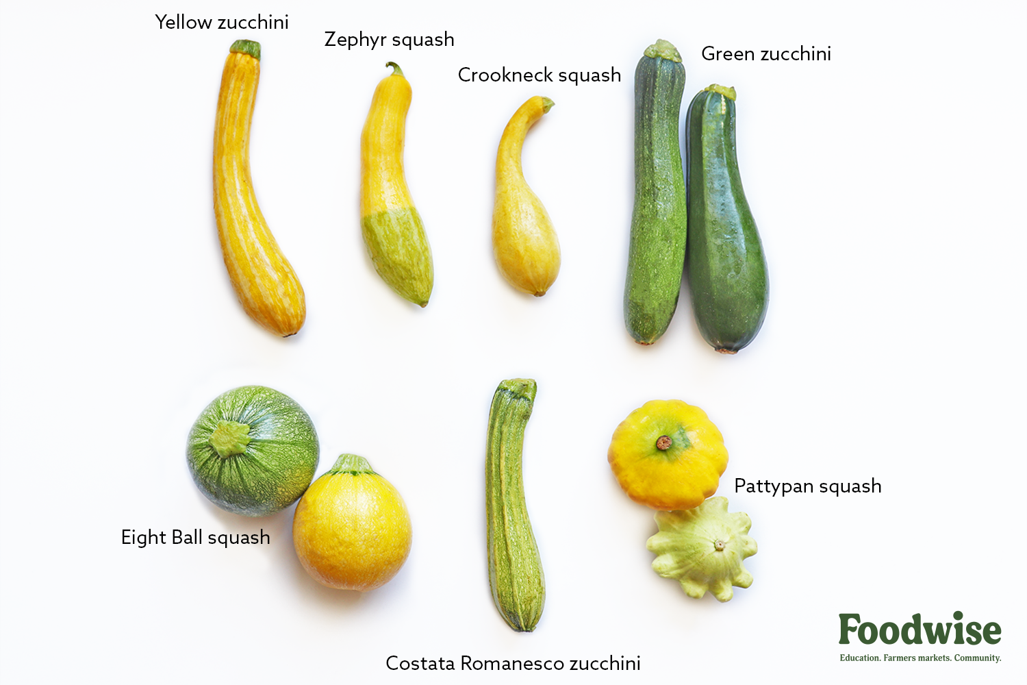 Zucchini and Beyond: A Farmers Market Guide to Summer Squash : Foodwise