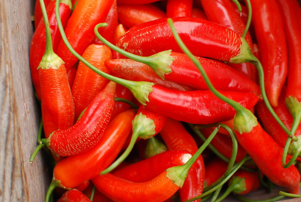 From Sweet to Heat: A Farmers Market Guide to Peppers : Foodwise