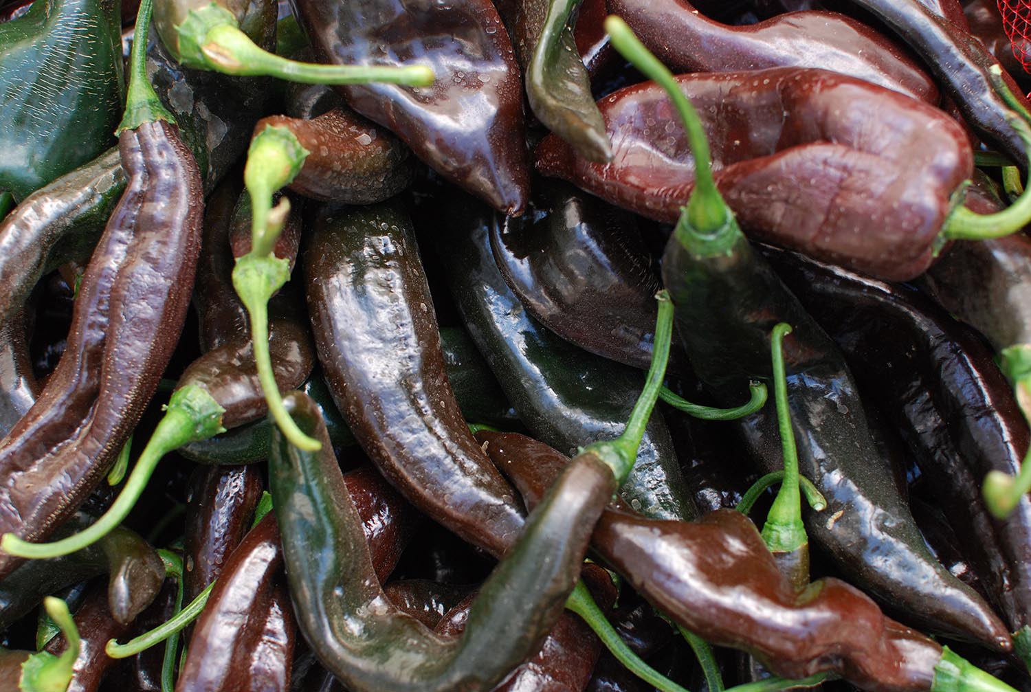 From Sweet to Heat: A Farmers Market Guide to Peppers : Foodwise