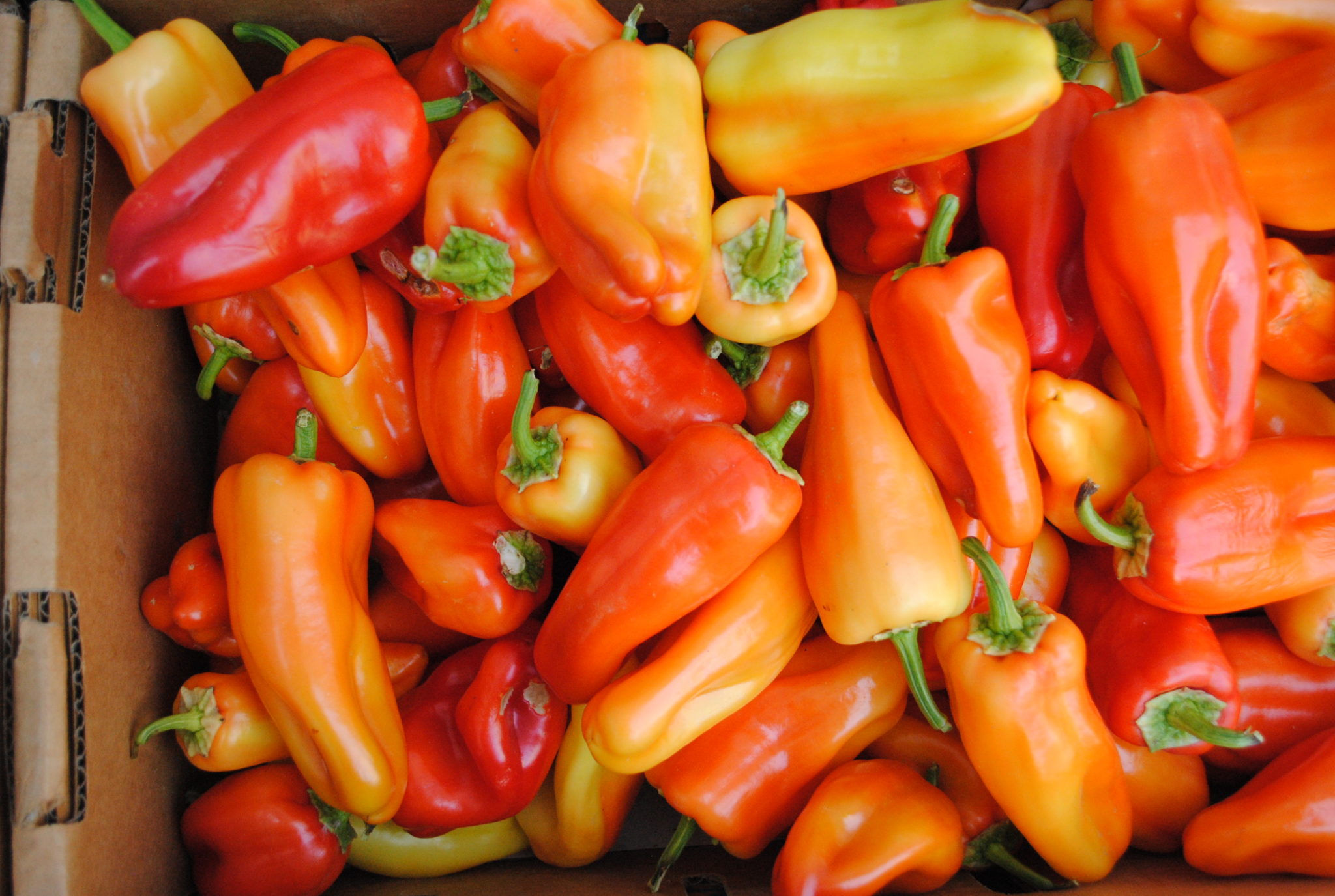 From Sweet to Heat: A Farmers Market Guide to Peppers : Foodwise