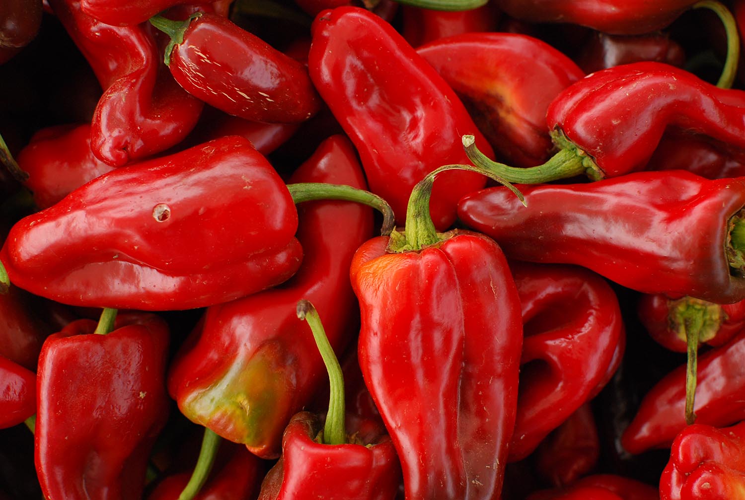From Sweet to Heat: A Farmers Market Guide to Peppers : Foodwise