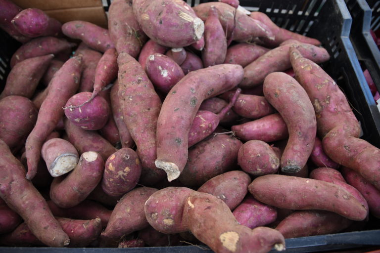 10 Foods Native to the Americas : Foodwise