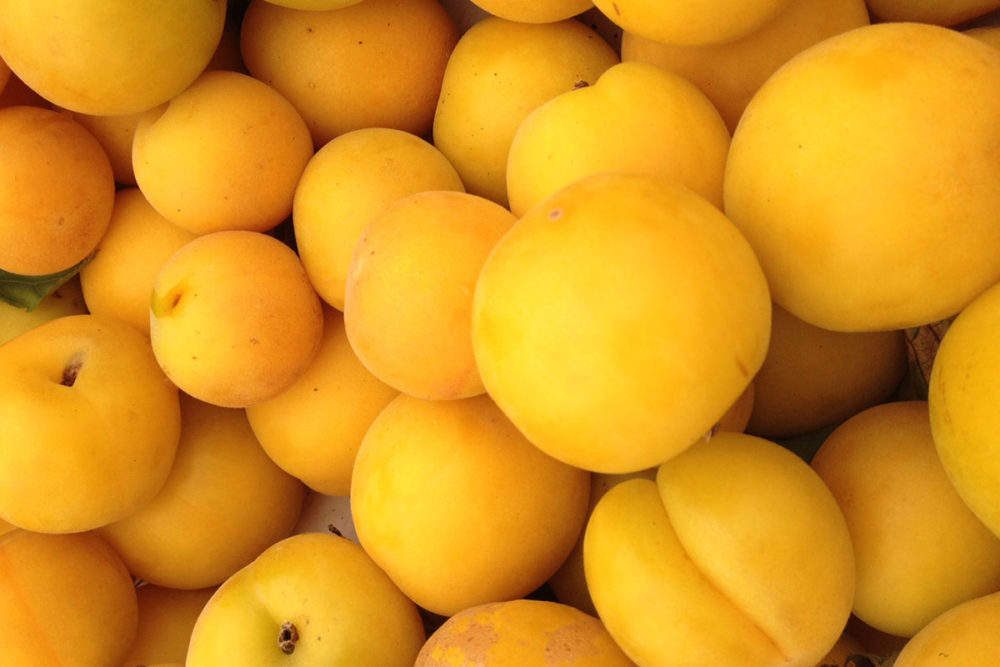 Taste the Sunshine: A Farmers Market Guide to Stone Fruit : Foodwise