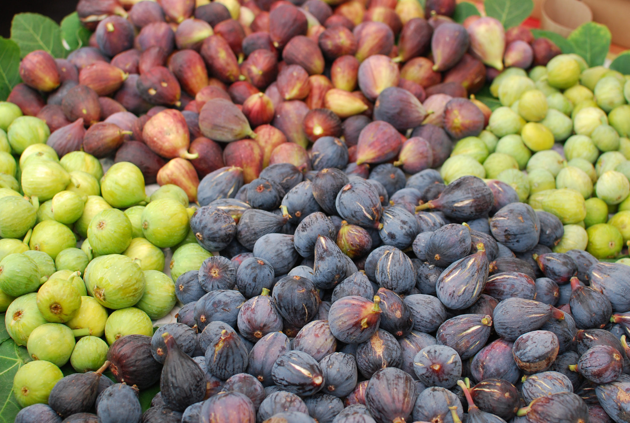 What the Fig? Why Figs Have Two Seasons : Foodwise