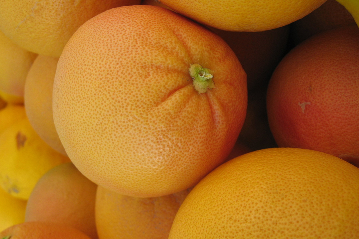 Sunshine in the Winter: A Farmers Market Guide to Citrus : Foodwise