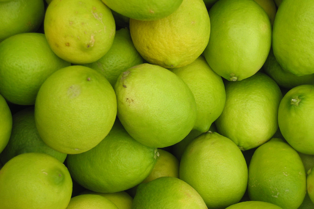 Sunshine in the Winter: A Farmers Market Guide to Citrus : Foodwise