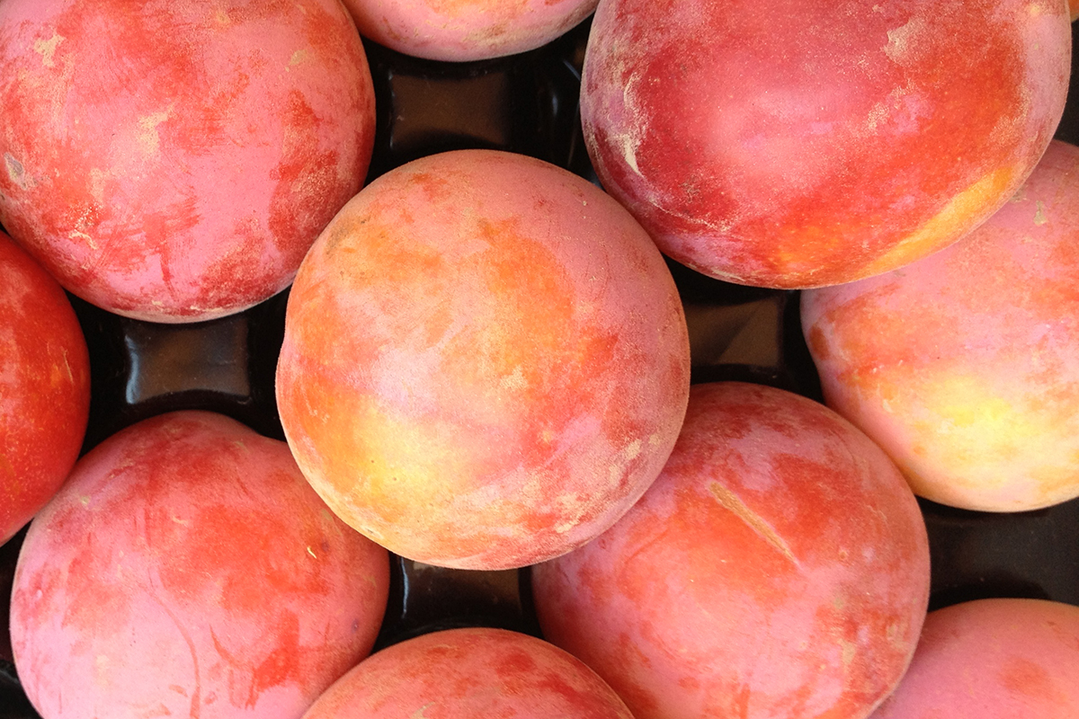 Taste the Sunshine: A Farmers Market Guide to Stone Fruit : Foodwise