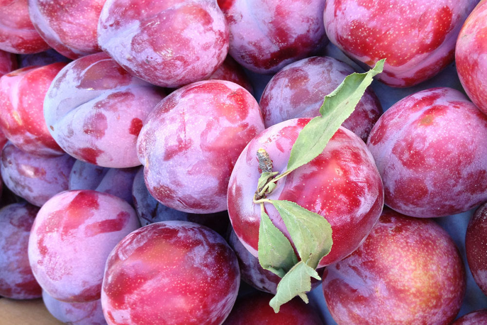 Taste the Sunshine: A Farmers Market Guide to Stone Fruit : Foodwise