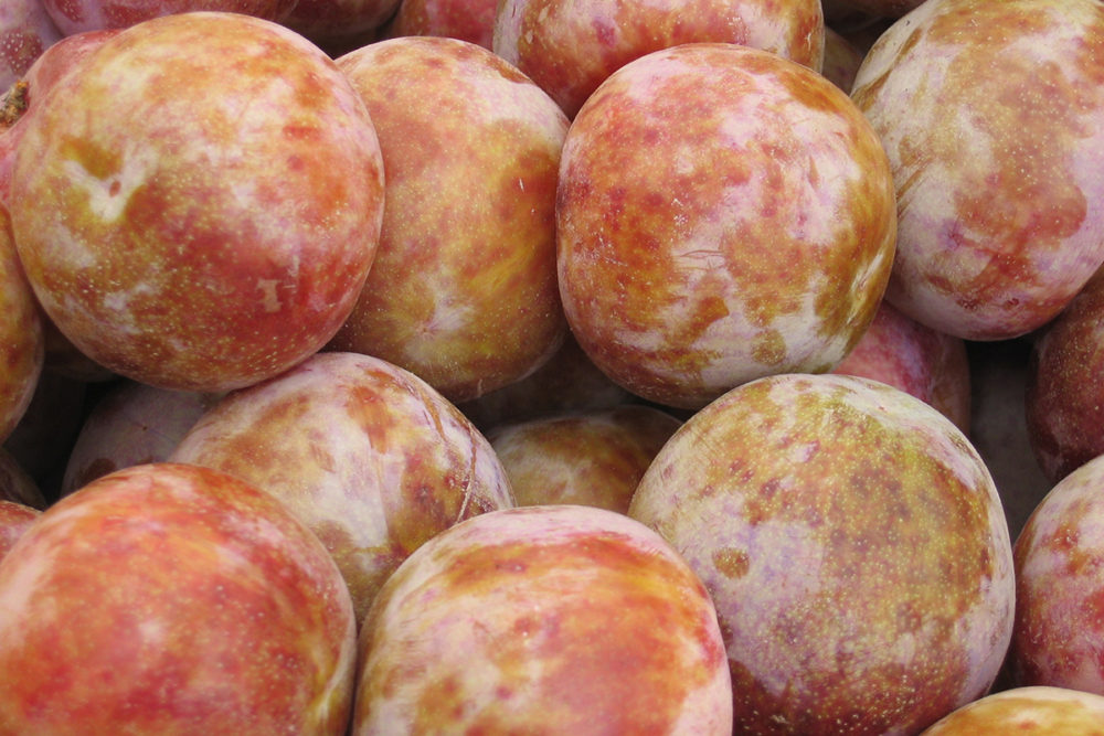Taste the Sunshine: A Farmers Market Guide to Stone Fruit : Foodwise