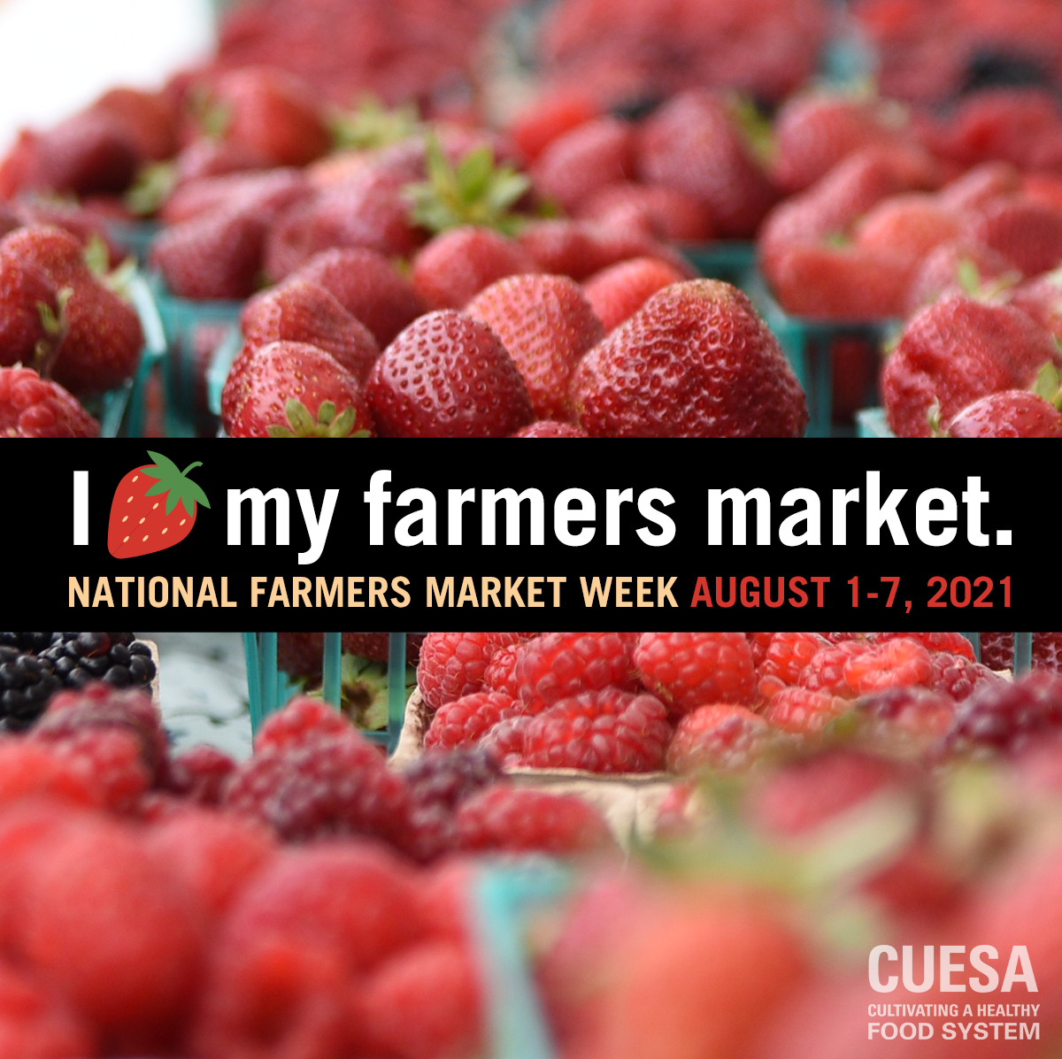 National Farmers Market Week : Foodwise