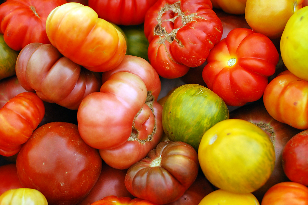A Farmers Market Guide to Tomatoes : Foodwise
