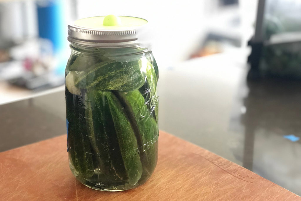 Salt-Brined Cucumber Pickles : Foodwise
