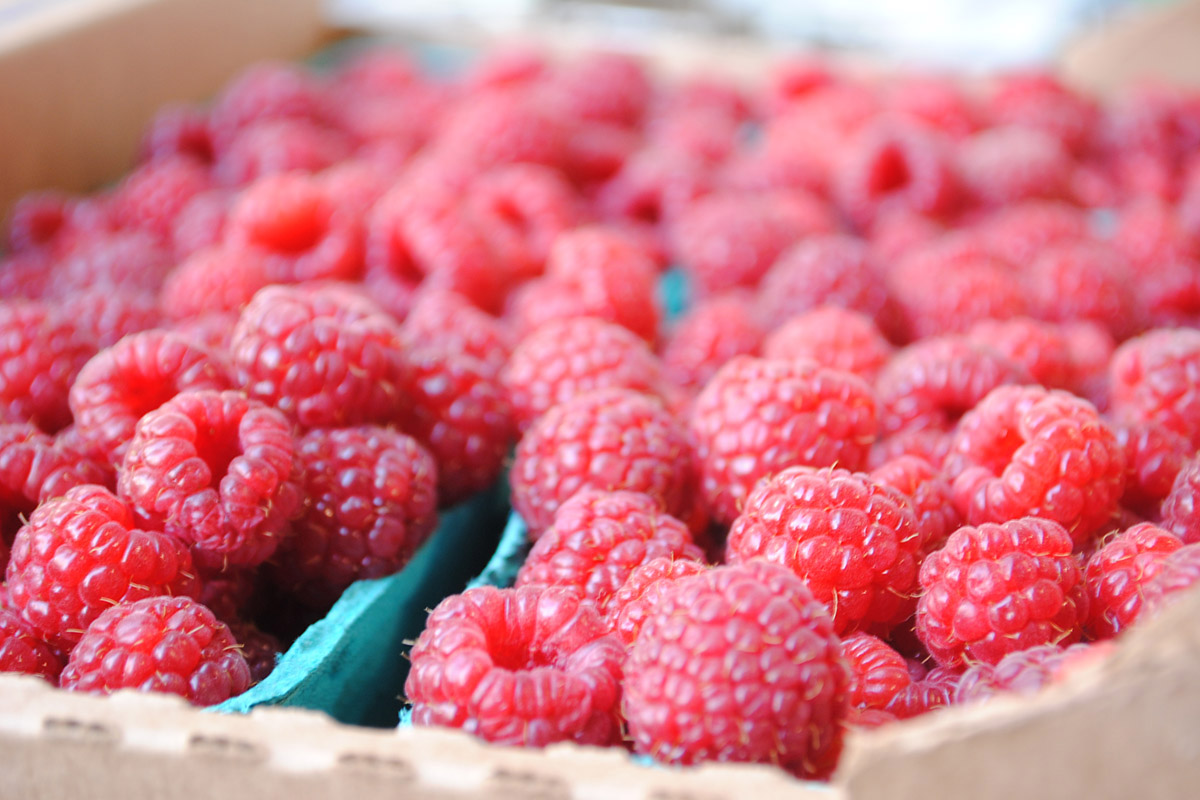 Berry Smart: A Farmers Market Guide to Berries : Foodwise