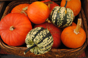 10 Foods Native to the Americas : Foodwise