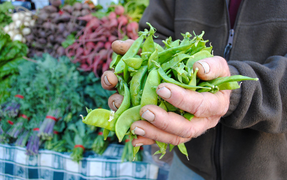 Our Sellers : Foodwise