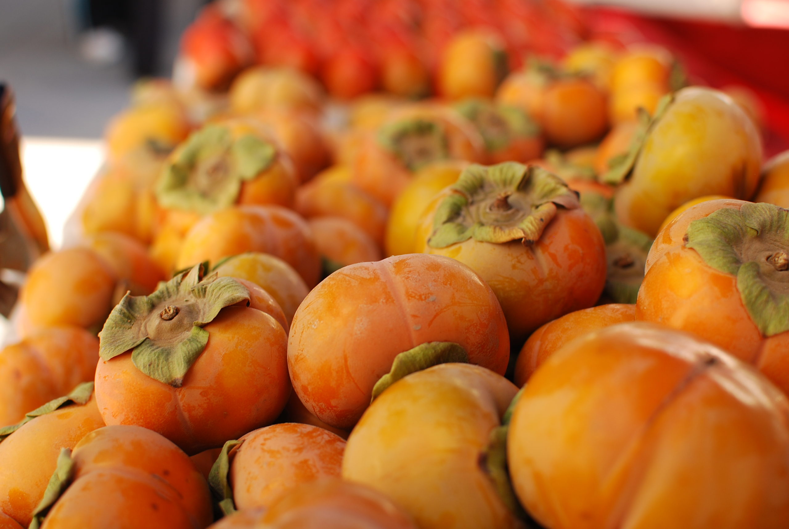 Curried Persimmon Soup : Foodwise