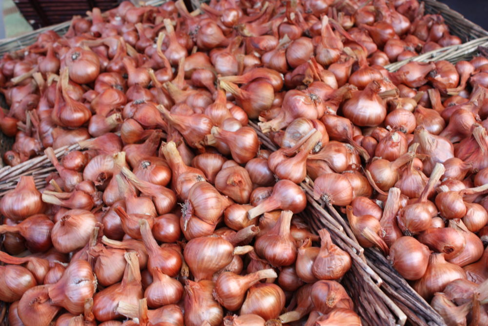 Layers of Flavor: Farmers Market Guide to Alliums : Foodwise