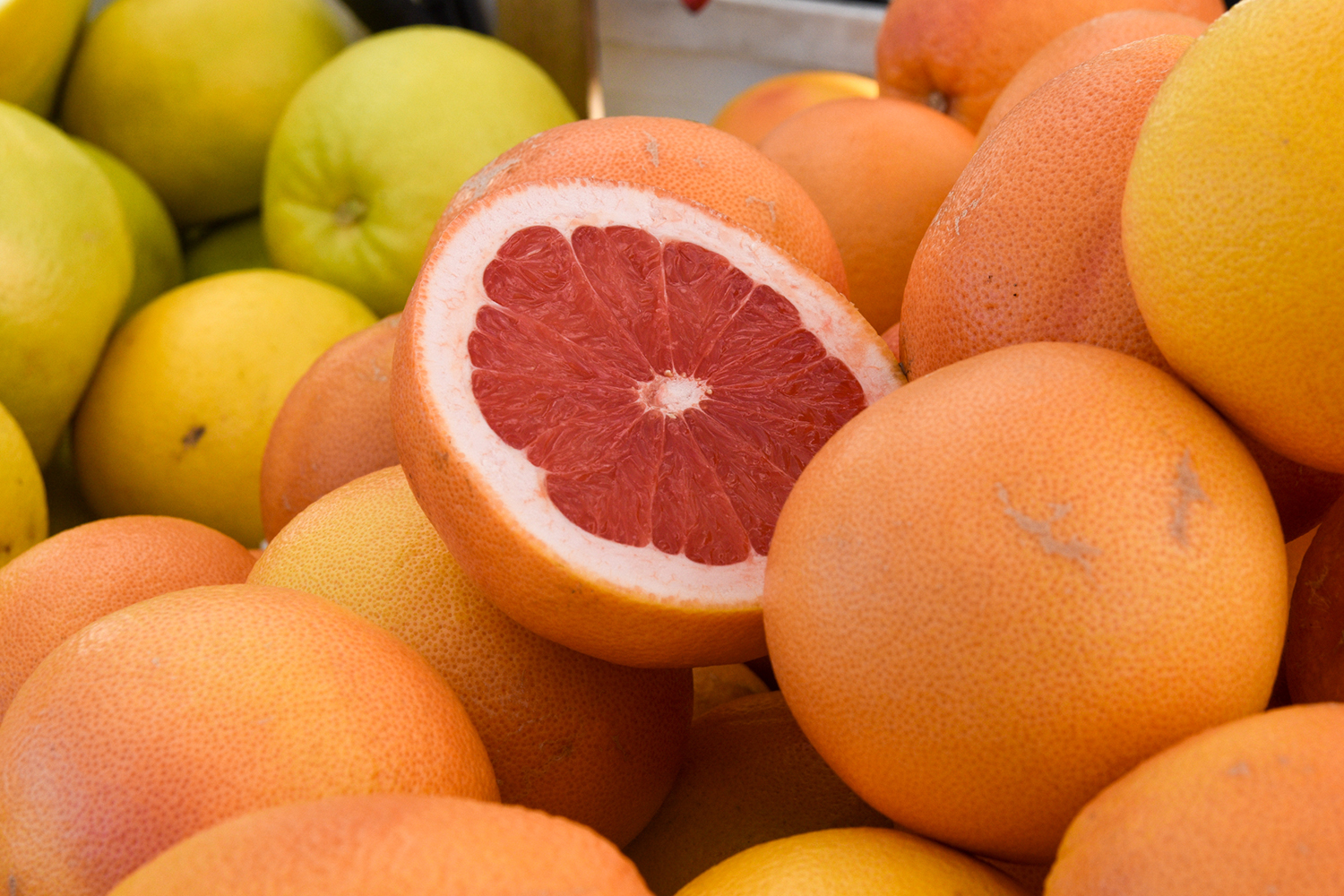 Sunshine in the Winter: A Farmers Market Guide to Citrus : Foodwise