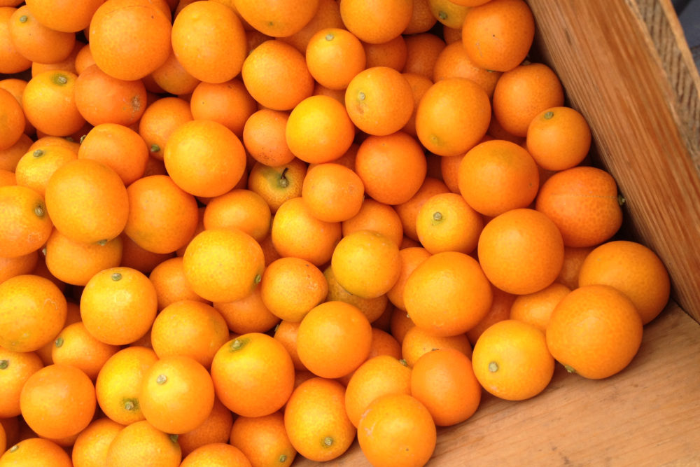 Sunshine in the Winter: A Farmers Market Guide to Citrus : Foodwise