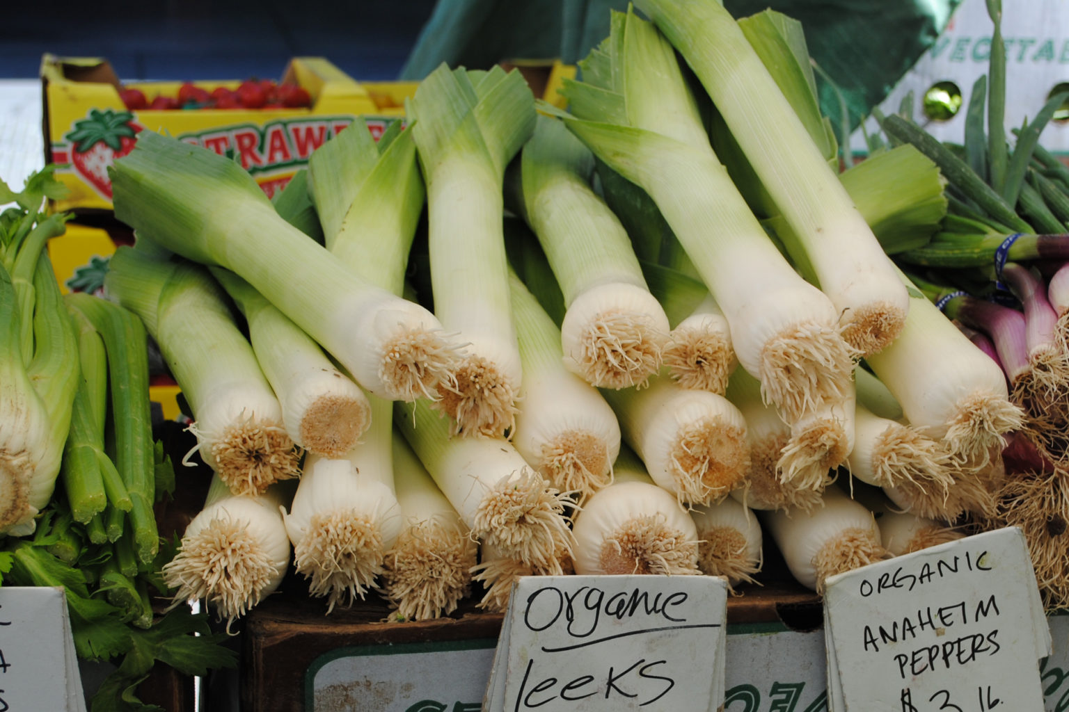 Layers of Flavor: Farmers Market Guide to Alliums : Foodwise
