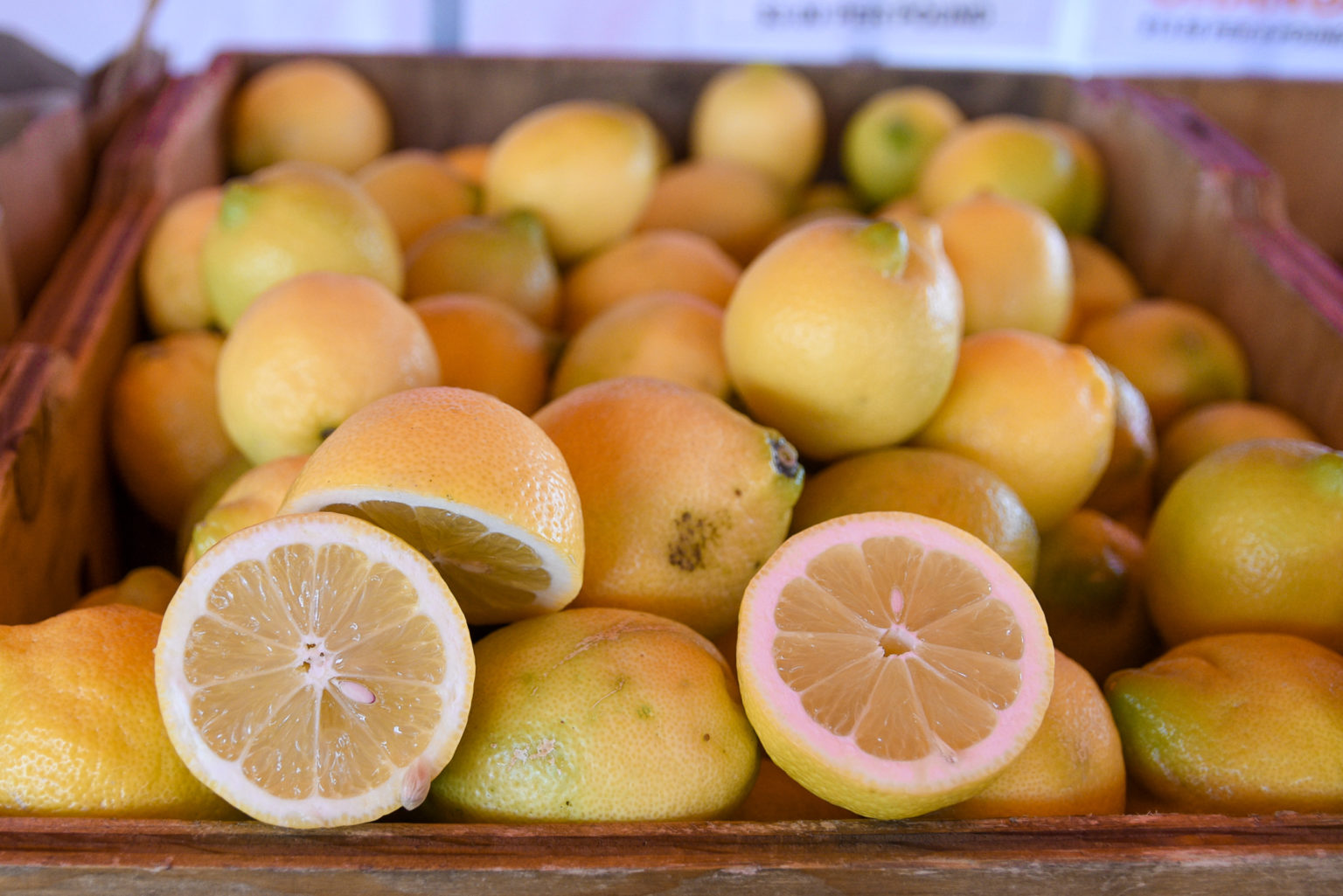 Sunshine in the Winter: A Farmers Market Guide to Citrus : Foodwise