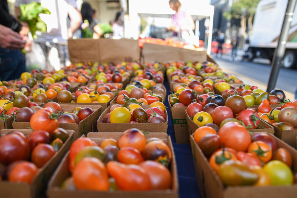 A Farmers Market Guide to Tomatoes : Foodwise