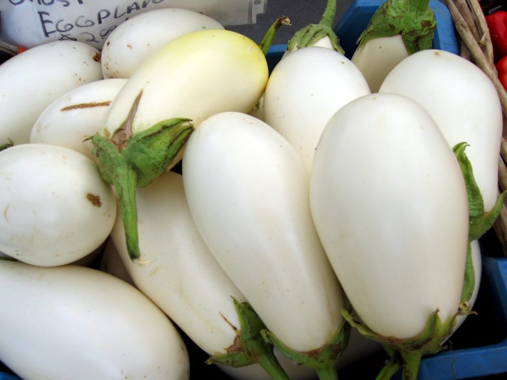 Savory Nightshades: A Farmers Market Guide to Eggplants : Foodwise