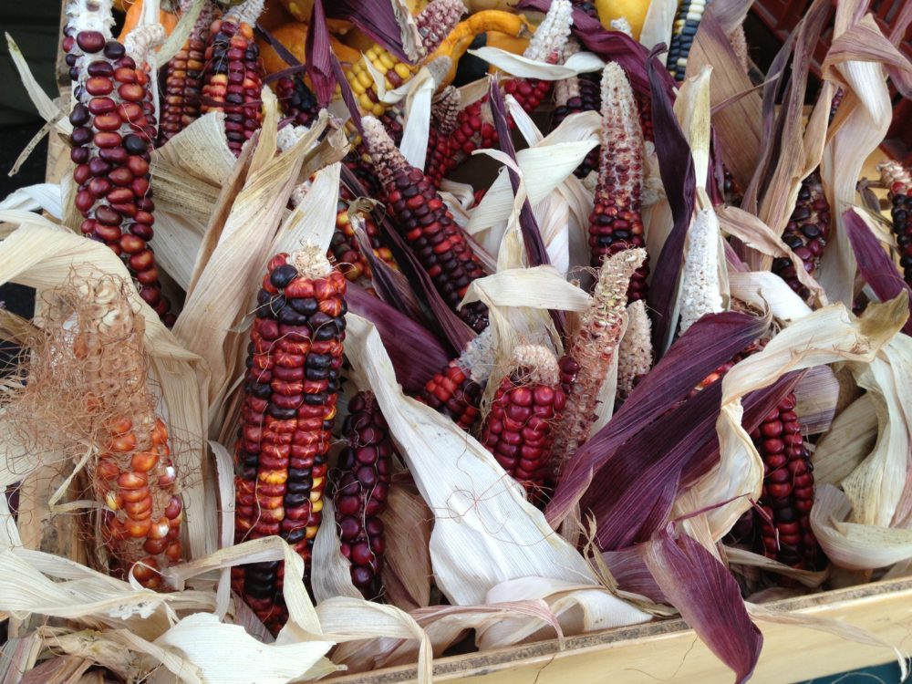 Support These Indigenous-Led Efforts to Preserve Traditional Foodways ...