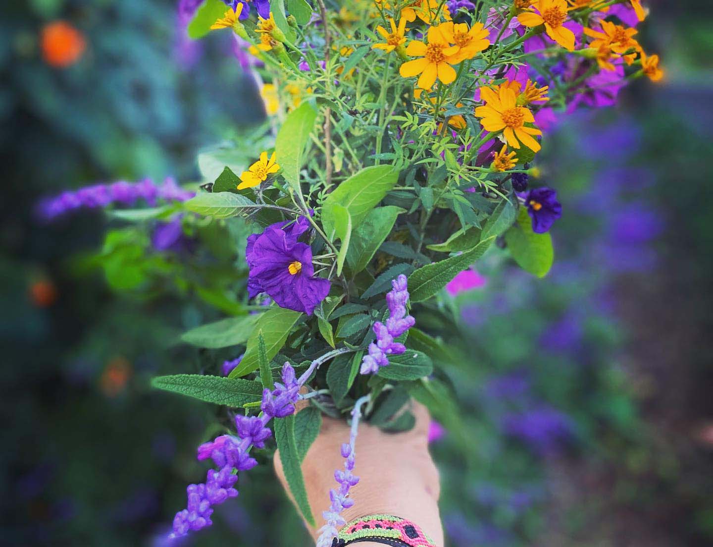 Sogorea Te’ Land Trust Reunites Ohlone Land with Indigenous Feminist ...
