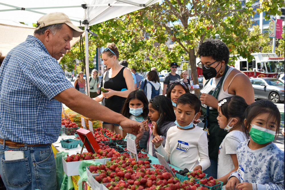 How to Make an Adventure of the Farmers Market with Kids : Foodwise