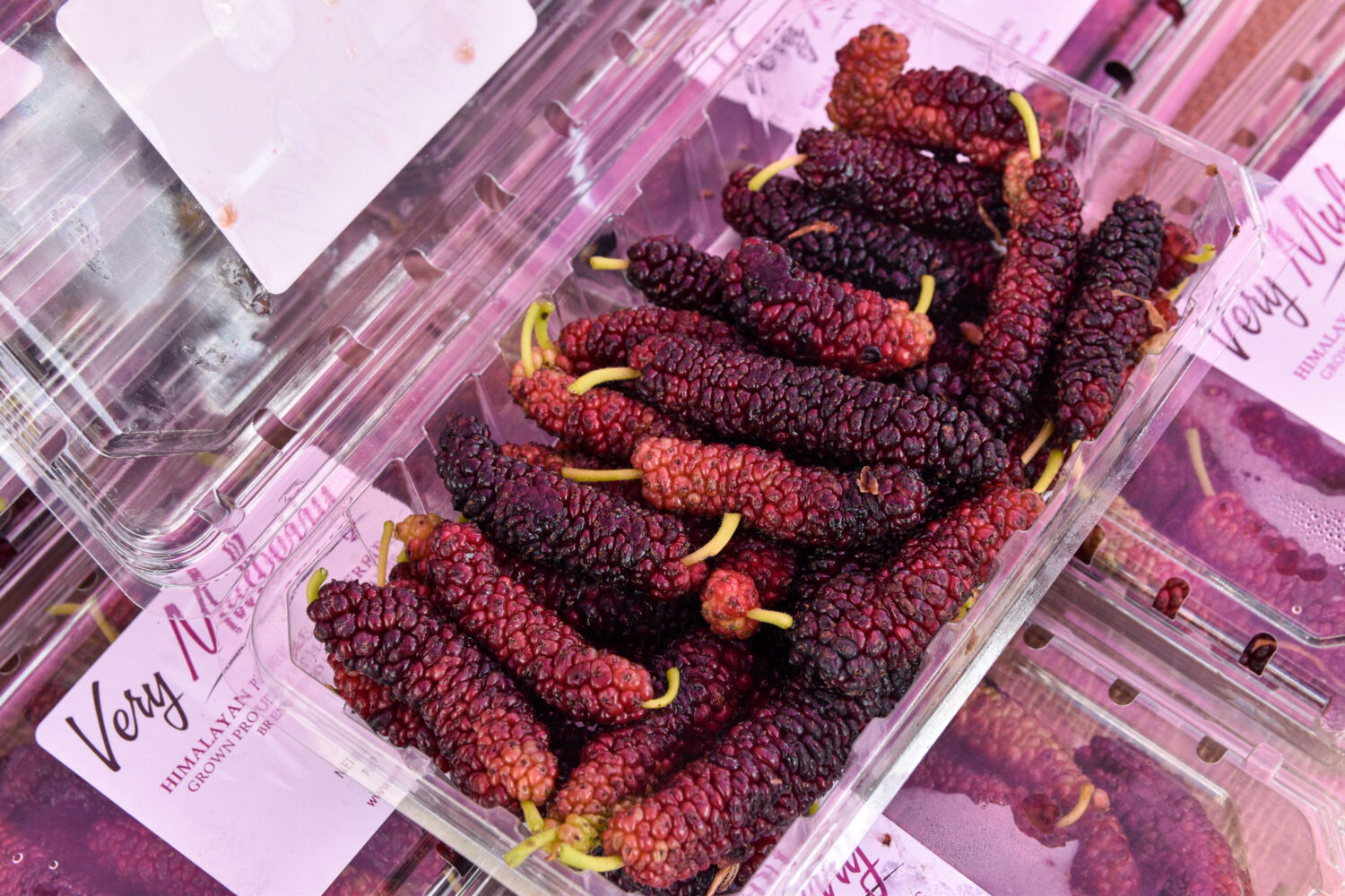 Very Mulberry Aims to Introduce America to a Rare and Regal Fruit ...