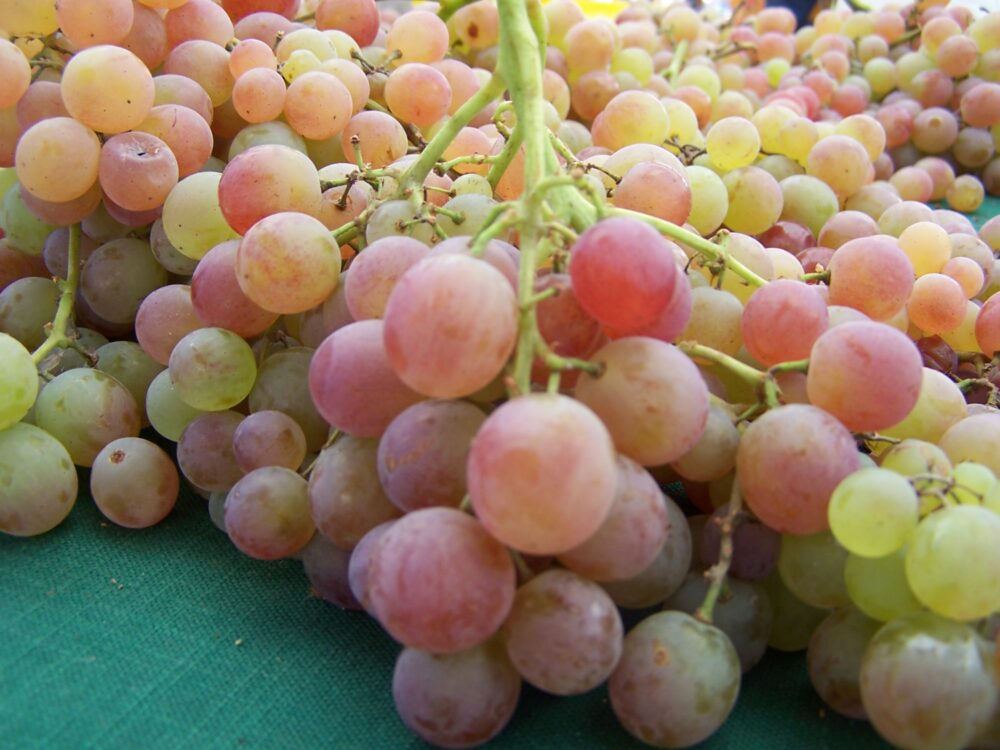 10 Unique Foods to Seek Out at the Farmers Market : Foodwise