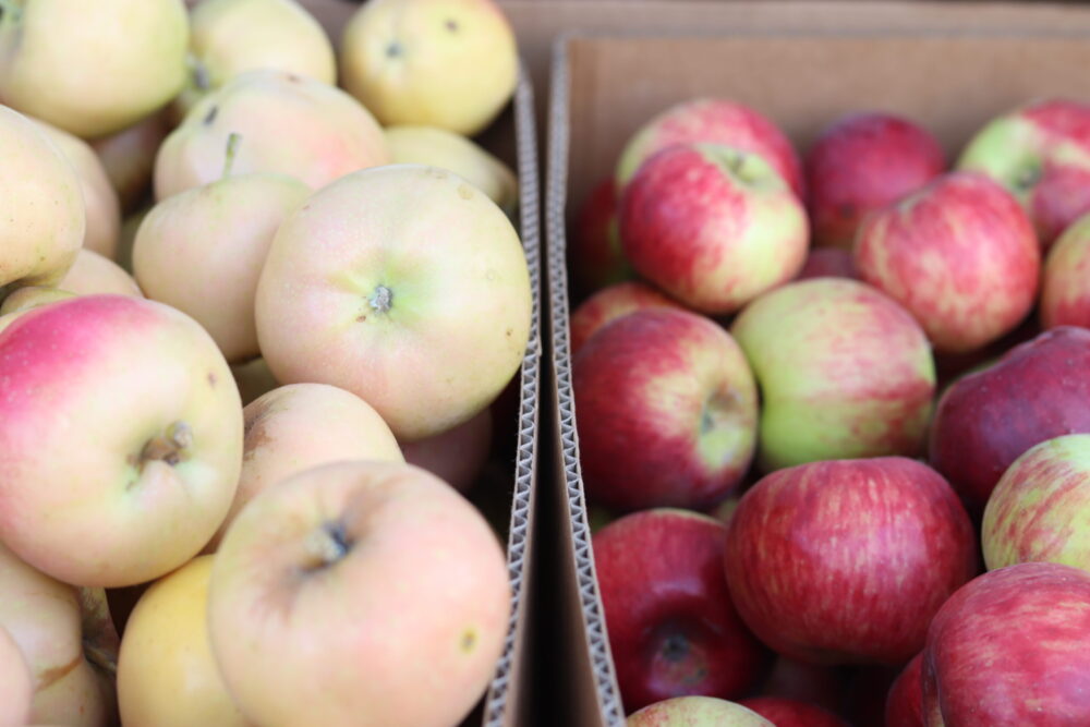 10 Unique Foods to Seek Out at the Farmers Market : Foodwise