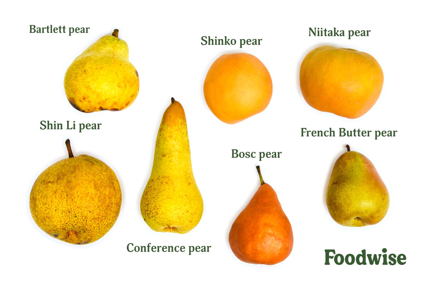 Types Of Pears In South Africa