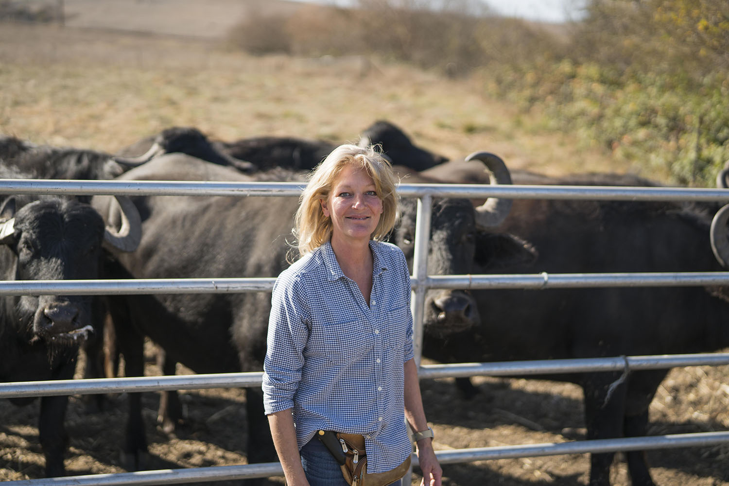 Audrey Hitchcock, Ramini Mozzarella : Foodwise
