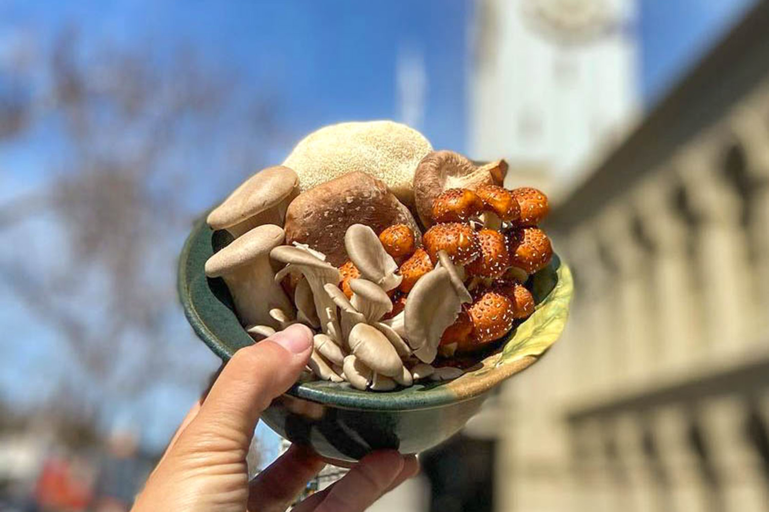 Mushroom Festival and Far West Fungi Pop-Up Cafe : Foodwise