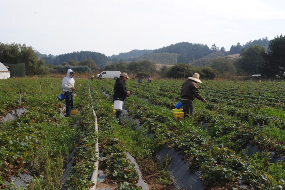 Six Programs That Protect and Empower Farmworkers : Foodwise