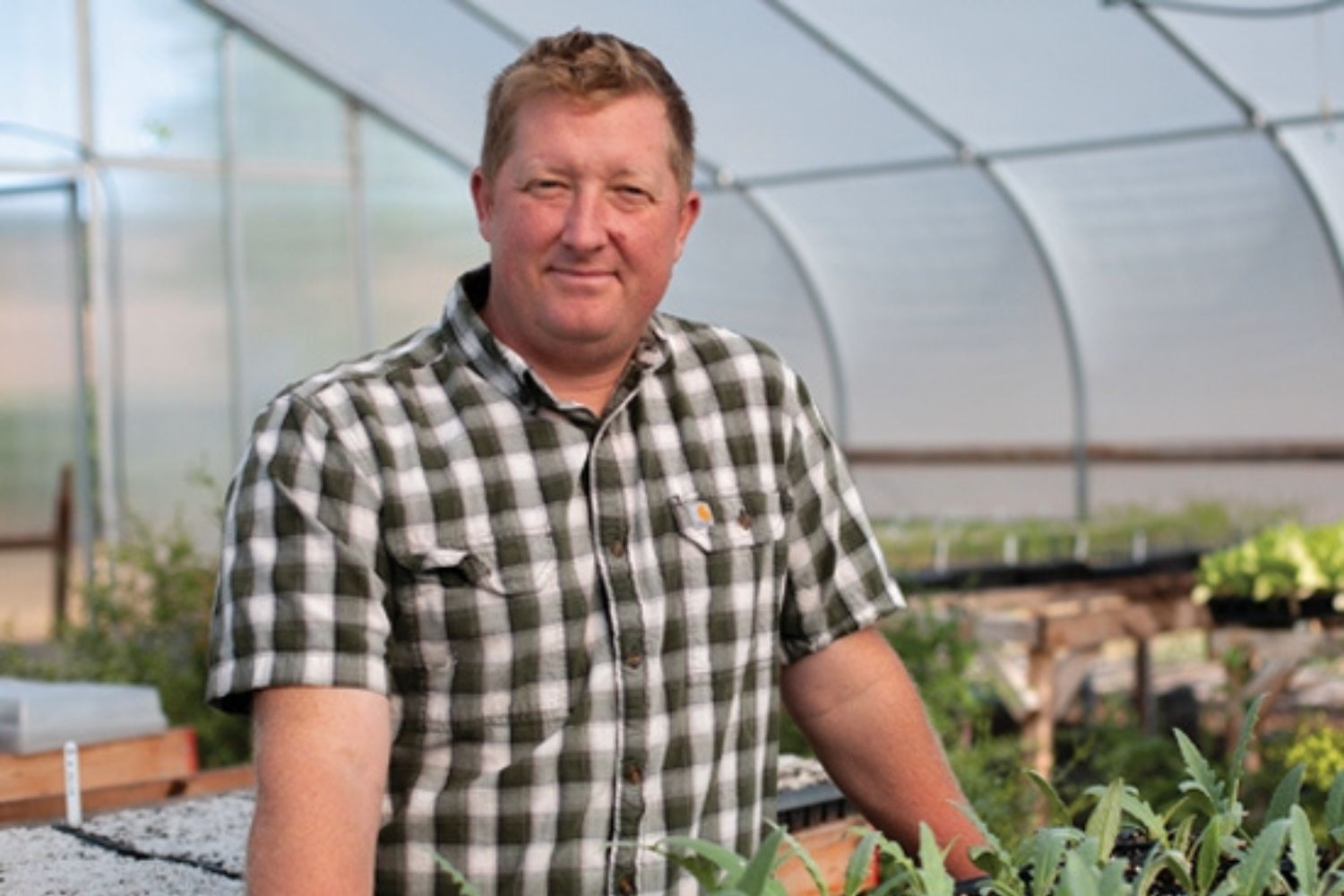 Umbel Roots: Meet the Former Restaurateur Turned Organic Farmer Growing ...