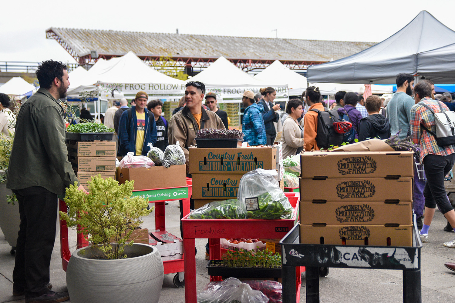 Ferry Plaza Farmers Market at the San Francisco Ferry Building : Foodwise