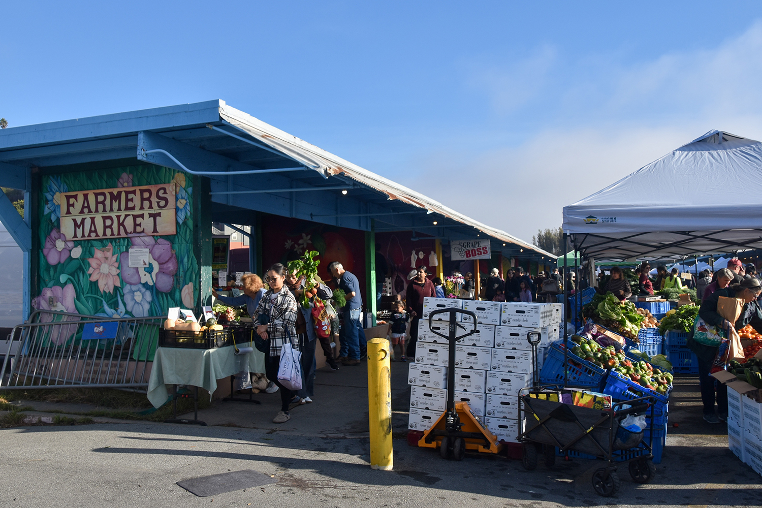 Foodwise to Become the Operator of Alemany Farmers Market in February ...