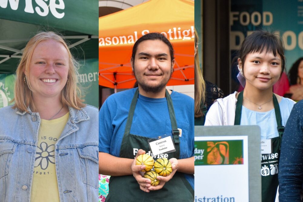 Intern Spotlight: Eloise Weir, Camron Howley, and Michelle Guan : Foodwise